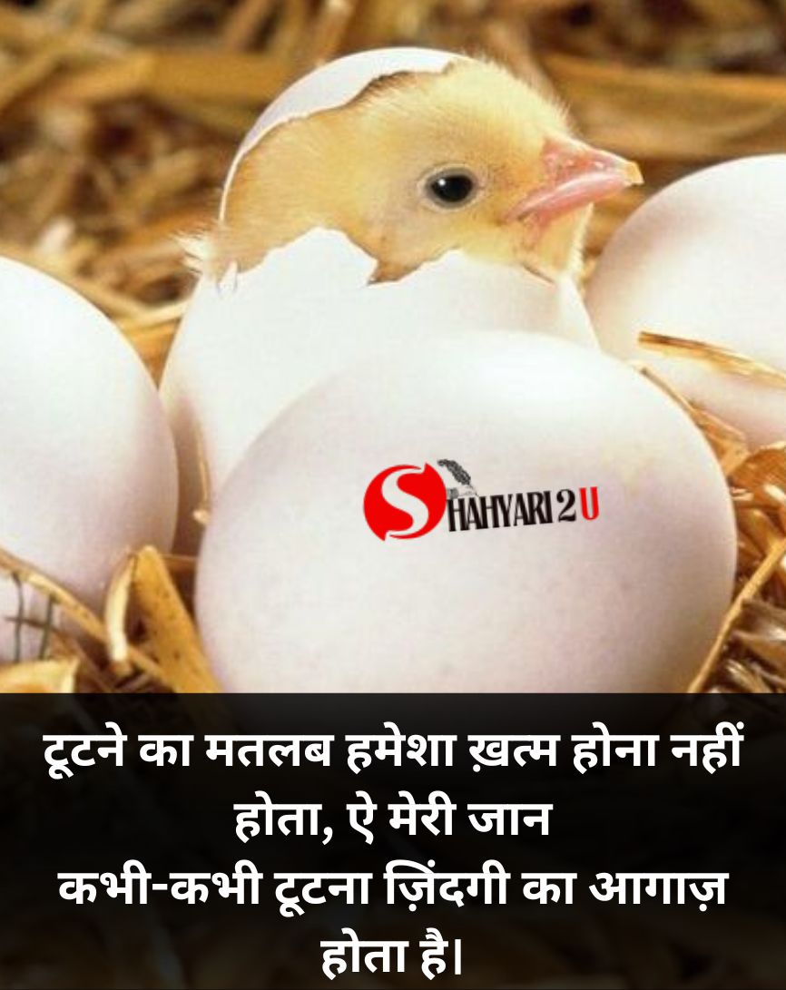 Best 2 Line Happy Life Shayari in Hindi - Shayari2u